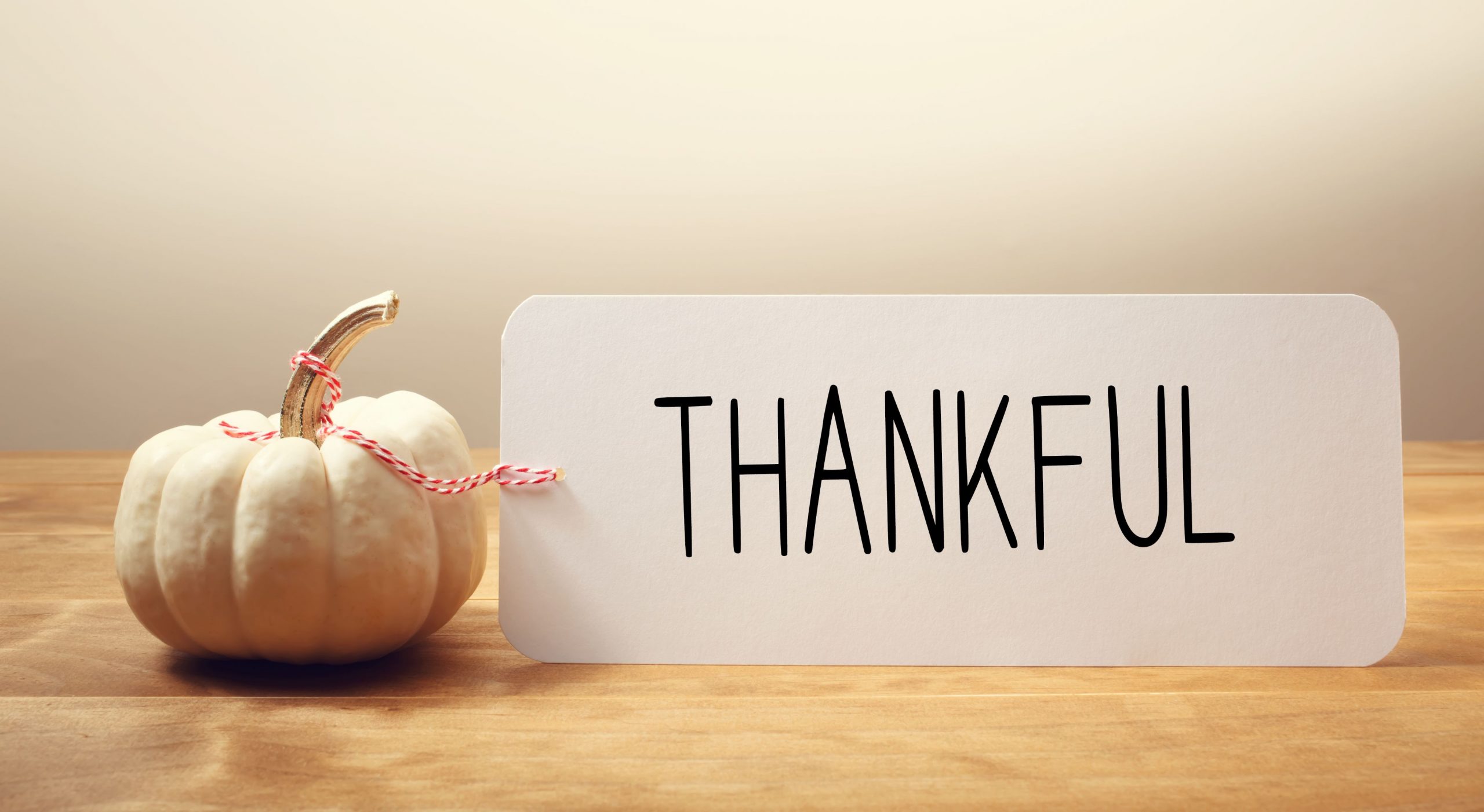 Three Ways We’re Thankful This Year | ONVIF Blog